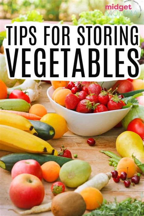 Tips For Storing Fresh Vegetables And Extending Their Lifespan