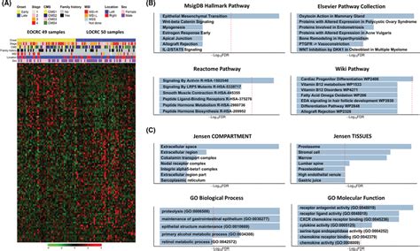 Visualization Of Differentially Expressed Genes Degs Identified