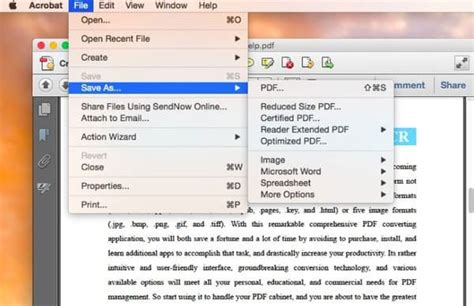 Your Complete Guide To Convert PDF To Word On Mac For 2024