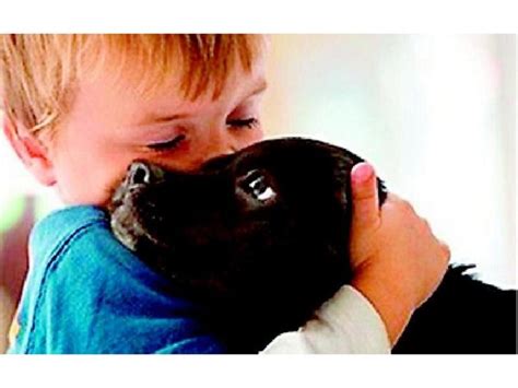 Как да разпознавате защо лае кучето ви Български Фермер