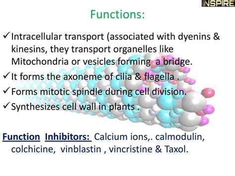 By Jigar S Mehta Asst Professor Biochemistry Msc Bed Mba