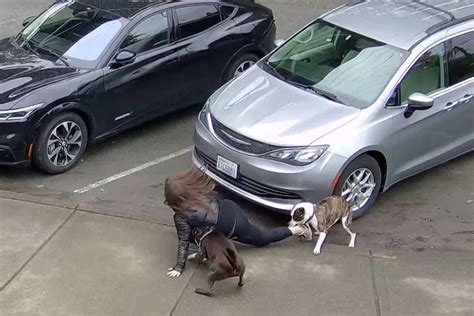 ویدئو حمله هولناک دو سگ به یک زن