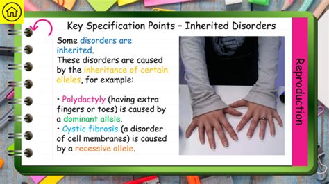 B6 Inheritance Variation And Evolution Aqa Gcse Science Biology Revision 9 1 Teaching Resources