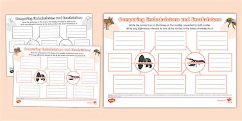 Comparing Endoskeletons And Exoskeletons Mind Map Twinkl