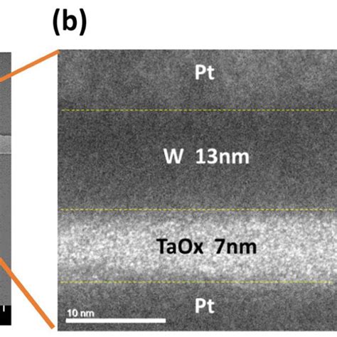 Resistive Switching Device Structures A Scanning Electron Microscopy Download Scientific