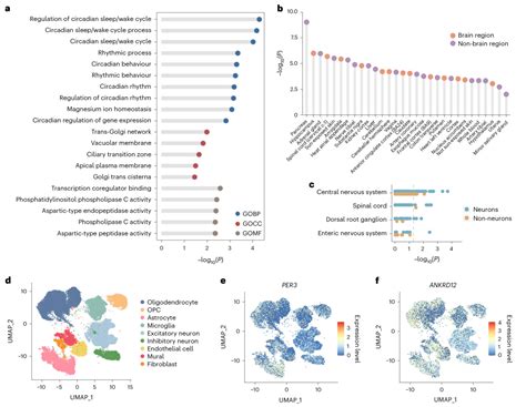 Nature Human Behaviour 实验室程炜研究员与华山医院联合团队首次基于大规模全外显子关联分析发现睡眠相关的新基因 复旦大学