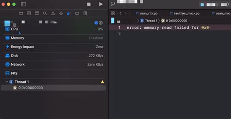 Addresssanitizer Failed To Allocate On Ios Devices Issue
