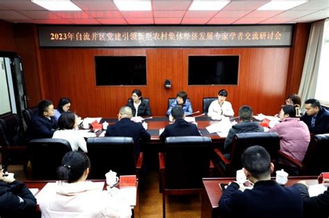 自贡自流井区专题调研抓住党建牛鼻子走出致富新路子 四川经济网 经济门户