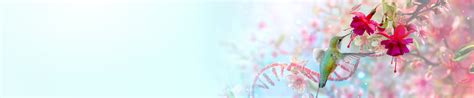 Direct Zol Rna Purification Kits Get Free Sample Now
