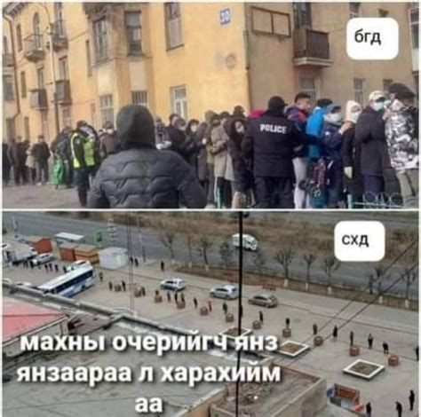 Хөл хорионы үеэрх хөгжилтэй агшинууд ТАС МН