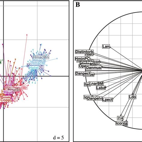 Principal Components Analysis Of The Morphometric Data Table Of Download Scientific Diagram