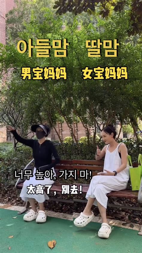 아들 엄마와 딸 엄마의 차이 연예이슈 수다방 네모판