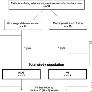 Study Flow Diagram MDG Microsurgical Decompression Group FG Fusion