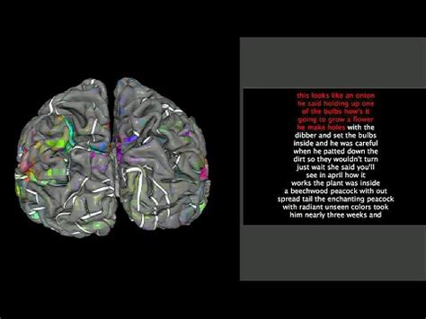 Neuroimaging Reveals Detailed Semantic Maps Across Human Cerebral Cortex The Mind Voyager