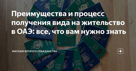 Преимущества и процесс получения вида на жительство в ОАЭ все что вам нужно знать МАГАЗИН