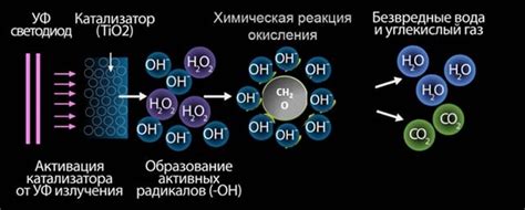 Лучший очиститель воздуха для дома: виды, принцип работы, отзывы