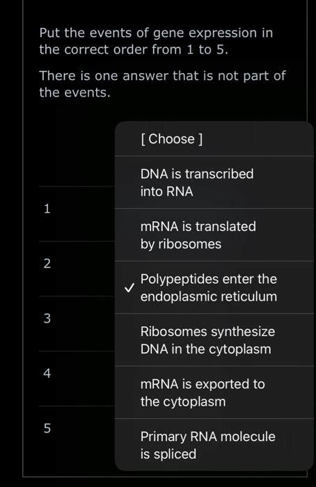 solved put the events of gene expression in the correct