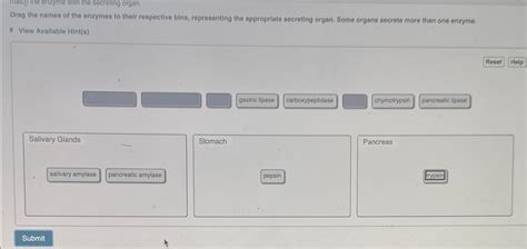 solved match the enzyme with the secreting organ drag the