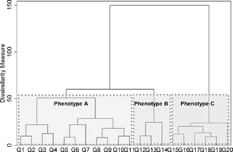 dendrogram for the ward s clustering method showing the dissimilarity