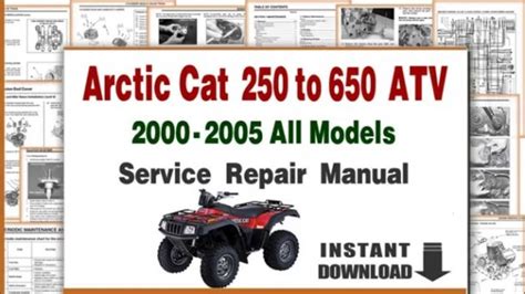 Arctic Cat Parts Diagram
