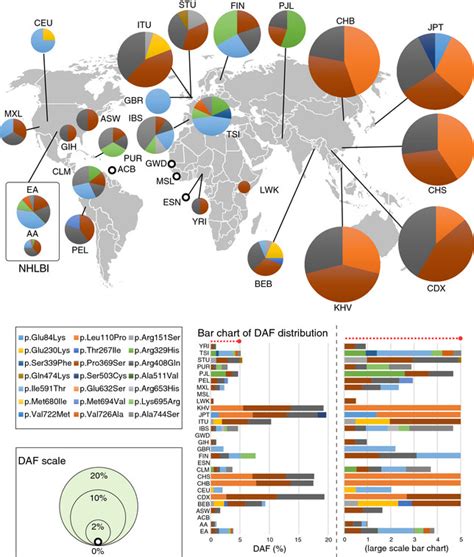 Geographical Distribution Of Derived Allele Frequencies For Mefv