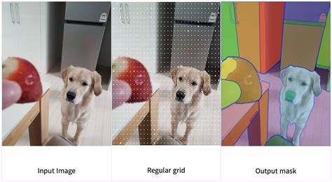 Segmentation Anything 수정 중