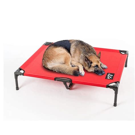 The Best Elevated Pet Beds In 2025