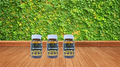 Understanding The Endocannabinoid System And Cbd