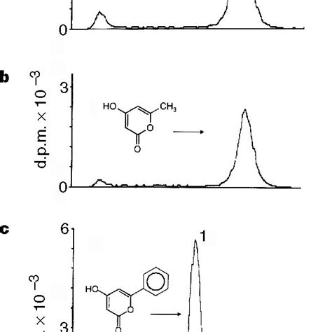 Thin Layer Chromatographic Analysis Of Radioactive Products Synthesized