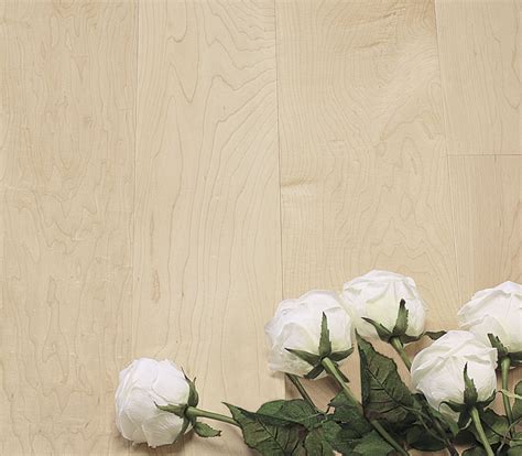 Canadian HARD MAPLE Wood Floor Made In Italy By CADORIN