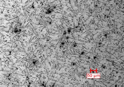 Microstructure Of Chilled Ni Mmc Containing 9 Wt Reinforcement