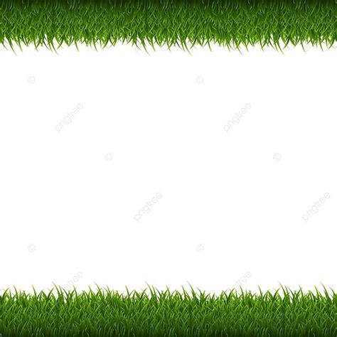 Green Grass Border Isolated Foliage Natural Backgrounds Vector Foliage