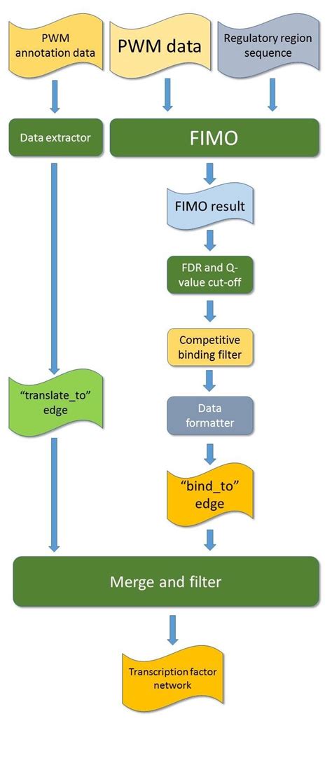 Workflow To Construct A Transcription Factor Network Download