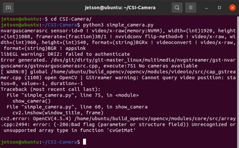 Orin JetPack 6 0 No Config For IMX 219 Camera Jetson Orin Nano NVIDIA Developer Forums