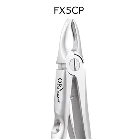 Oracraft Pedodontic Extraction Forceps Premium