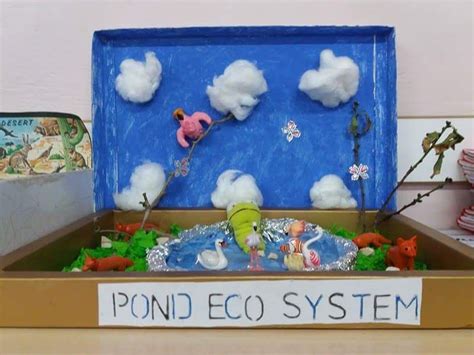 Science Project Ecosystem January 2017 Mater Boni Consilii School