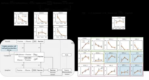Difference In Gene Expression Of Different Metabolism Pathways A