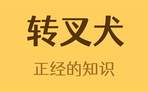 居然让小狗给他烤肉 正经的知识 正经的知识 哔哩哔哩视频