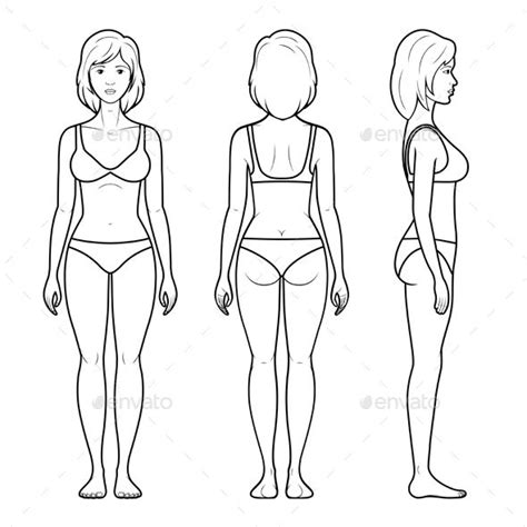 Vector Illustration Of A Female Figure Front Rear And Side View In Underwear Character Model