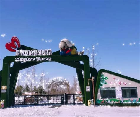 冬日小”莓“好，等你来摘哦~ 金湖全域旅游网