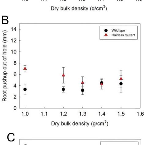 Root Growth Result Experiment 2 Showing A Root Tip Displacement Download Scientific Diagram
