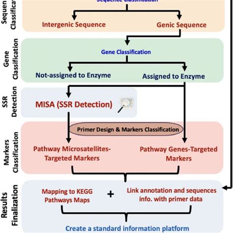 The Workflow Of Pathway Gene Set Mining Pgm Pipeline Download
