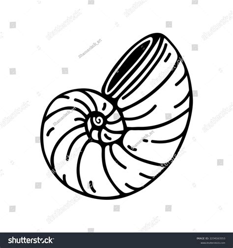 Nautilus Shell Vector Icon Hand Drawn Stock Vector Royalty Free
