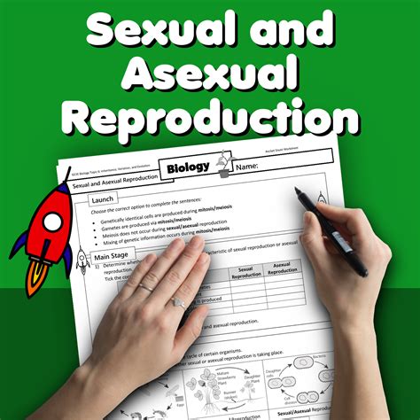 Sexual And Asexual Reproduction Home Learning Worksheet Gcse