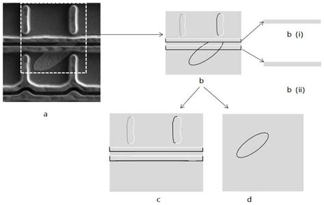Wafer Defect Classification Method And Device Electronic Equipment And
