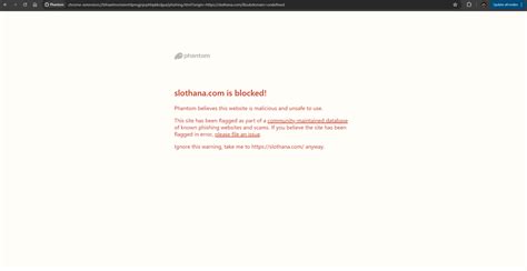 Does Anyone Know Why Its Blocked Rslothana