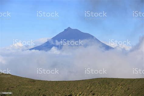 아름 다운이 슬 Faial 아조레스 제도 와 피코 0명에 대한 스톡 사진 및 기타 이미지 0명 경관 계절 Istock