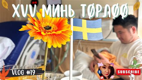 Vlog 19 Хүү минь төрлөө Бяцхан үр минь гэр бүлдээ тавтай морил Youtube