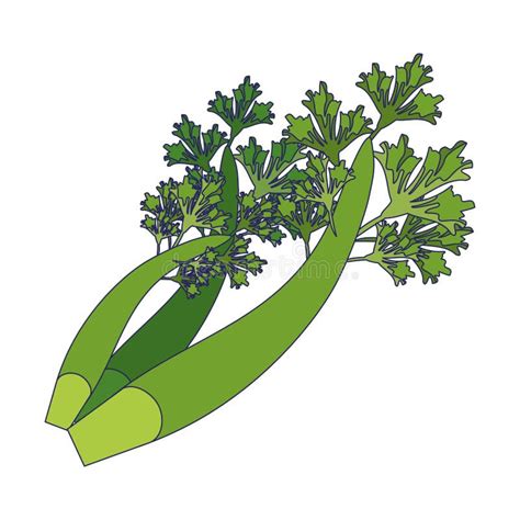 Clipart