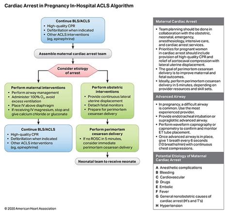 Part 3 Adult Basic And Advanced Life Support American Heart